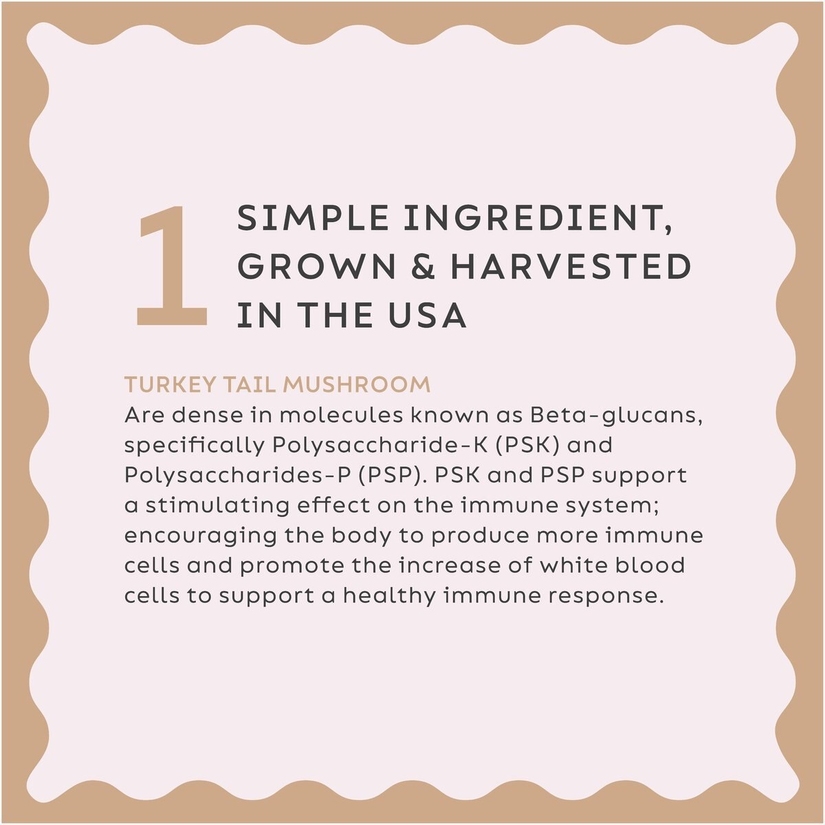 SUPER SNOUTS Turkey Tail Powder Immune Supplement for Dogs & Cats, 5.29 ...