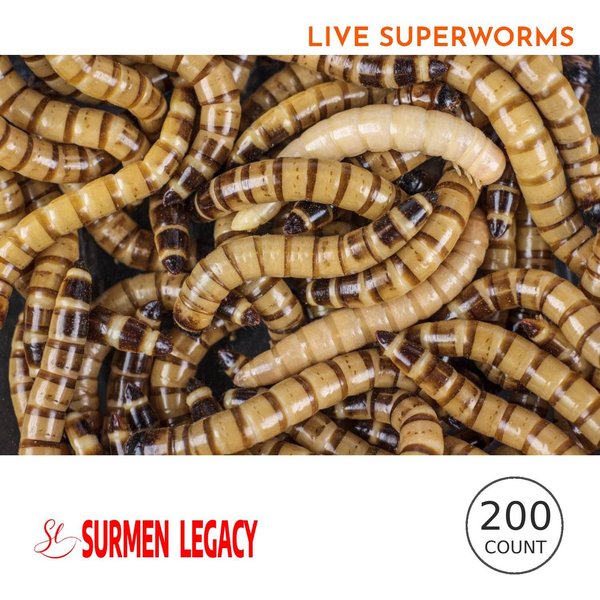 MACK'S NATURAL REPTILE FOOD Adult Mice Frozen Reptile Food, 10 count ...