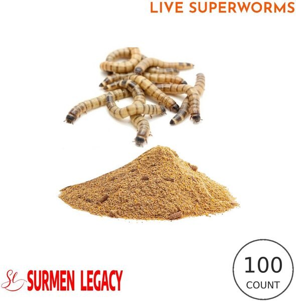 Discontinued - SURMEN LEGACY Gutloaded Superworms with Bedding & Food Live Feed Reptile Food, 1. ...