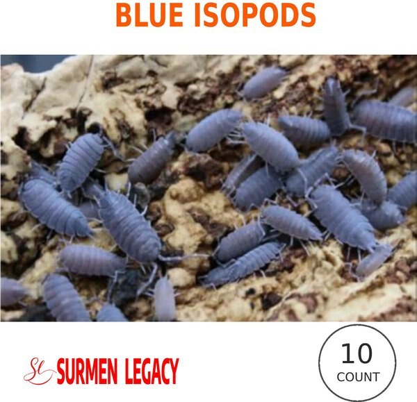 Discontinued - SURMEN LEGACY Powder Isopods Live Feed Reptile Food, 10 ...
