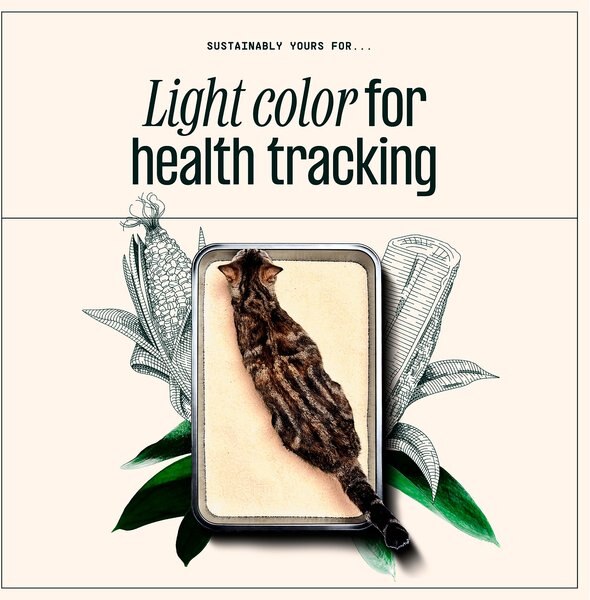 SUSTAINABLY YOURS Mixed Grains Unscented Clumping Corn Cat Litter, 10 ...