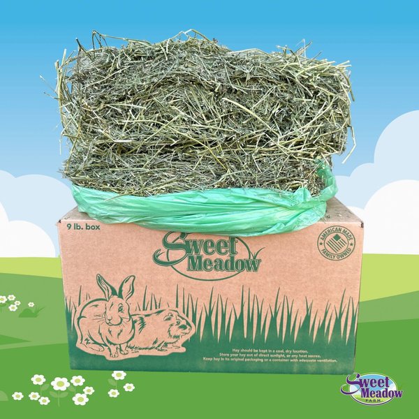 SMALL PET SELECT Alfalfa Hay Small Pet Food, 10-lb box - Chewy.com