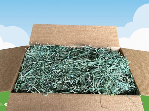 SWEET MEADOW FARM All Natural Western Timothy 2nd Cut Hay Small Pet ...