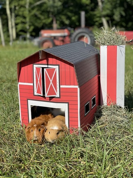SWEET MEADOW FARM Buddy Barn Small Pet Hideout - Chewy.com