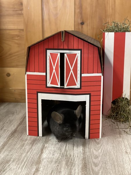 SWEET MEADOW FARM Buddy Barn Small Pet Hideout - Chewy.com