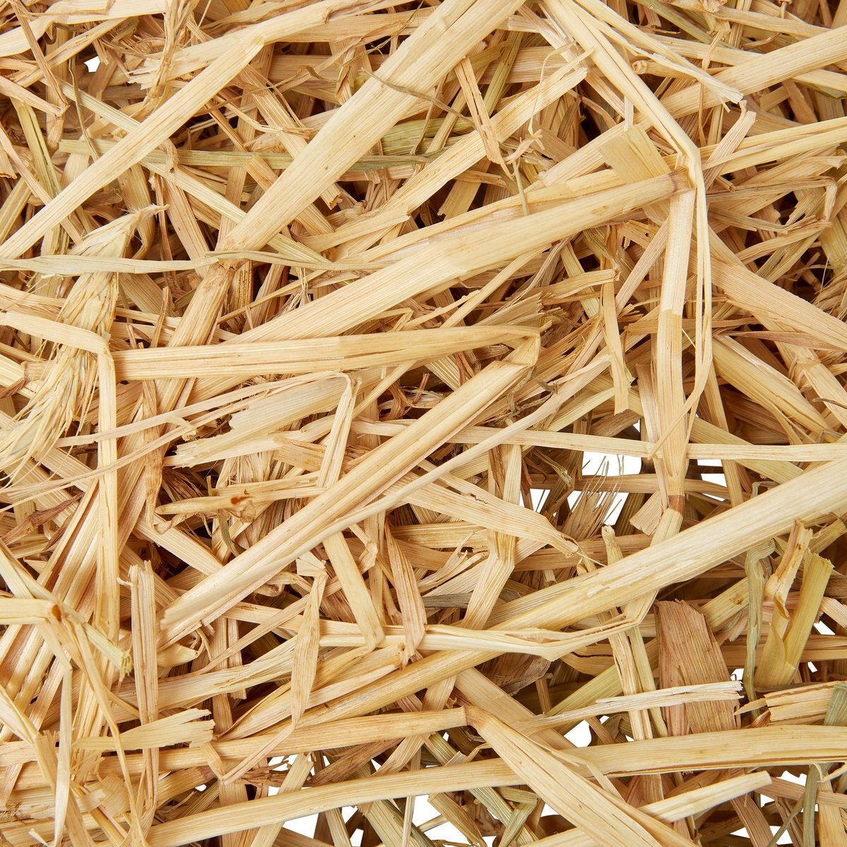 SWEET MEADOW FARM Straw Small Pet Bedding, 6-lb box - Chewy.com