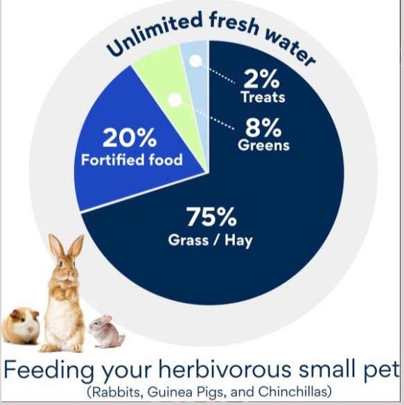 SWEET MEADOW FARM Timothy Pellets Adult Rabbit Food, 40-lb bag - Chewy.com