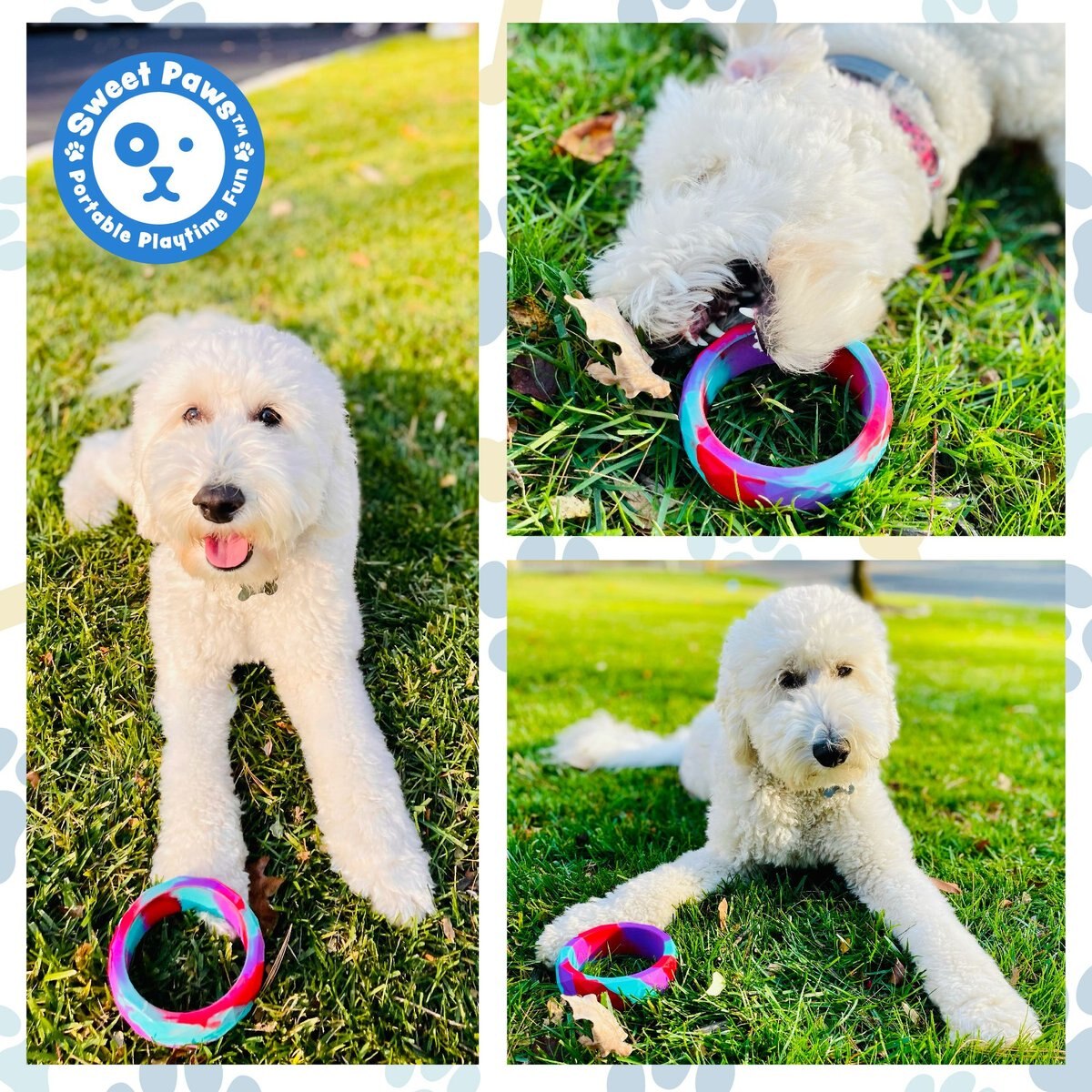 SWEET PAWS Chunky Wearable Puppy Teether Dog Toy, Blueberry Smoothie ...