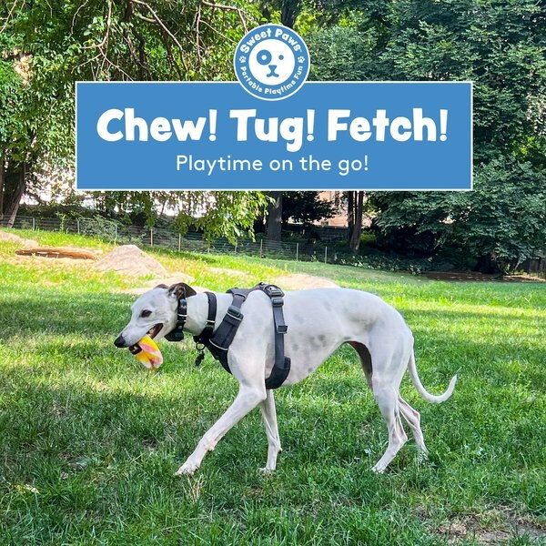 SWEET PAWS Chunky Wearable Puppy Teether Stack Dog Toy, 2 count, K-9 ...