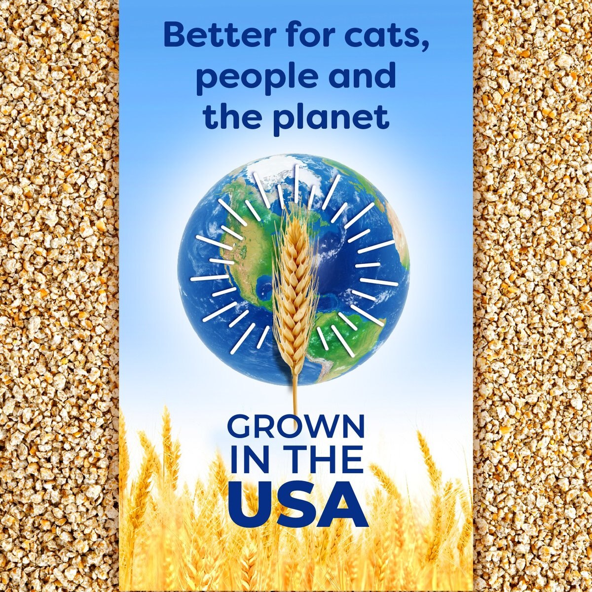 SWHEAT SCOOP Multi-Cat Natural Clumping Wheat Cat Litter, 28-lb bag ...