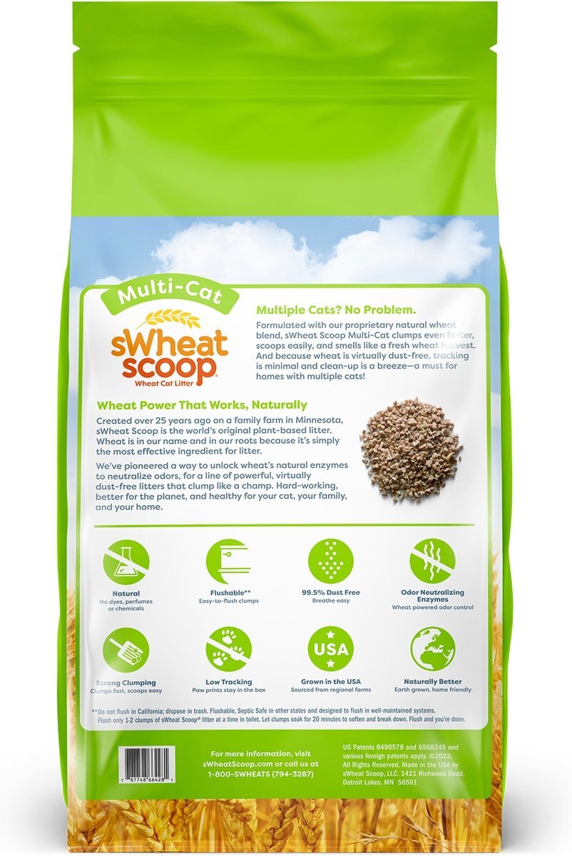 SWHEAT SCOOP Multi-Cat Natural Clumping Wheat Cat Litter, 28-lb bag ...