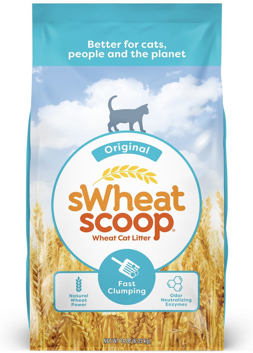SWHEAT SCOOP Original Natural Clumping Wheat Cat Litter, 14-lb bag ...
