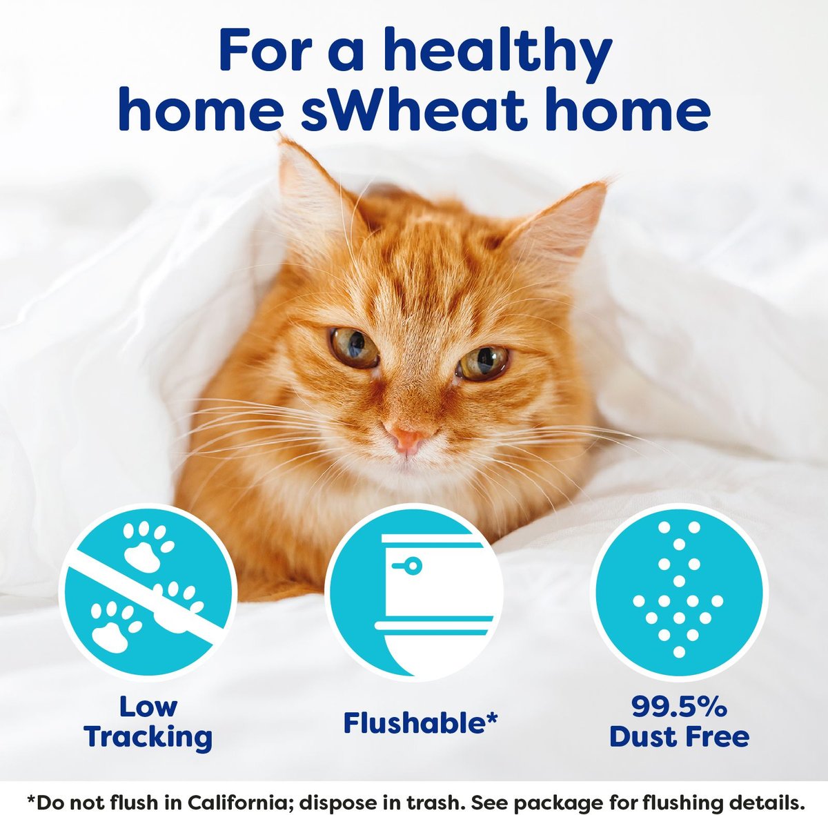 SWHEAT SCOOP Original Natural Clumping Wheat Cat Litter, 14-lb bag ...