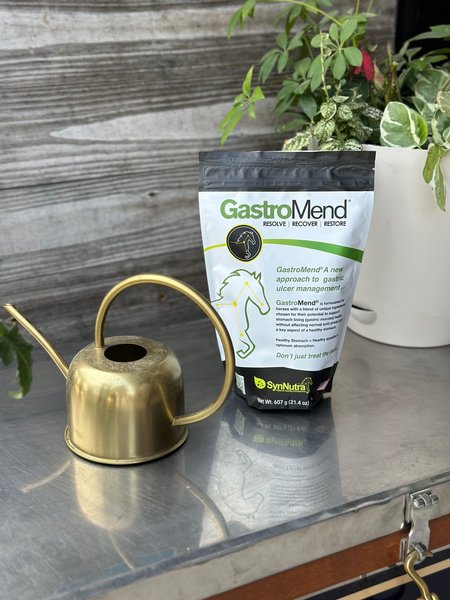 SYNNUTRA Equine GastroMend Horse Supplement, 60 Servings - Chewy.com