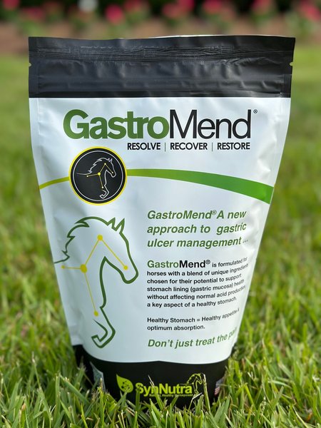 SYNNUTRA Equine GastroMend Horse Supplement, 60 Servings - Chewy.com