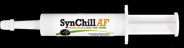 SYNNUTRA Equine SynChill AF Calming Gel Starter Pack, 3 count - Chewy.com