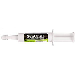 SYNNUTRA Equine SynChill Calming Horse Gel - Chewy.com