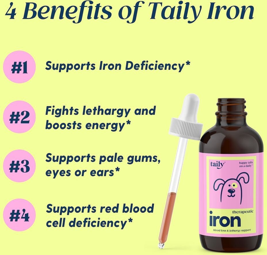TAILY Bacon Flavored Liquid Iron Supplement for Dogs & Cats, 4-fl oz ...