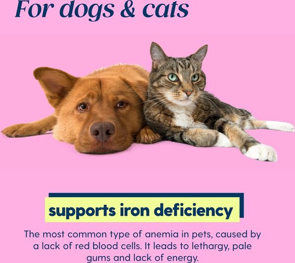 TAILY Bacon Flavored Liquid Iron Supplement for Dogs & Cats, 4-fl oz ...