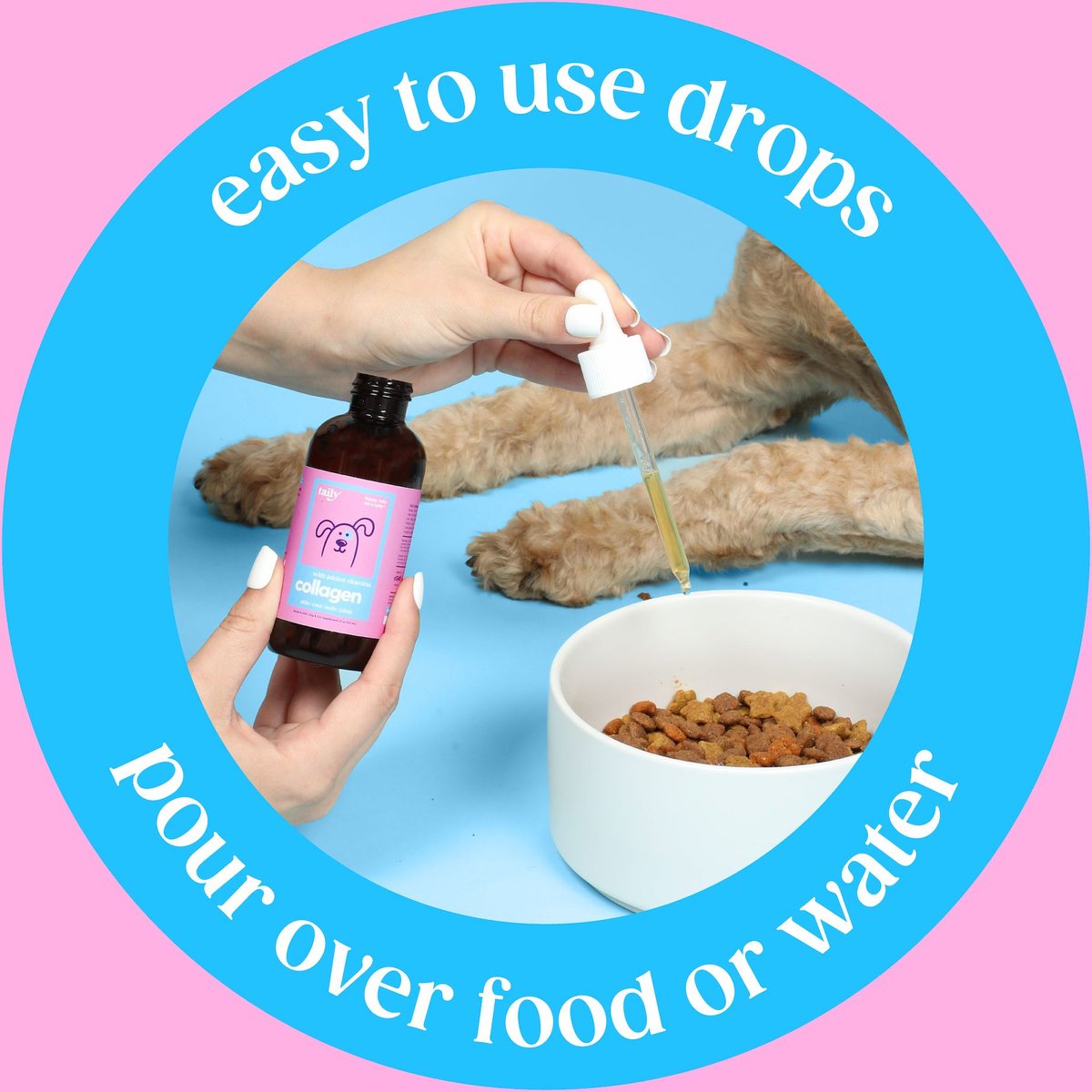 TAILY Collagen Bacon Flavored Liquid Skin & Coat Supplement for Dogs ...