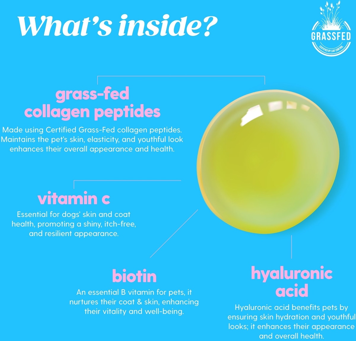 TAILY Collagen Bacon Flavored Liquid Skin & Coat Supplement for Dogs ...