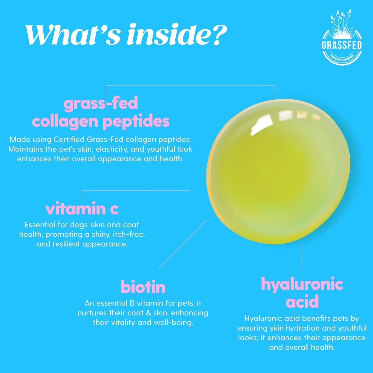 Out of Stock - TAILY Collagen Bacon Flavored Liquid Skin & Coat ...