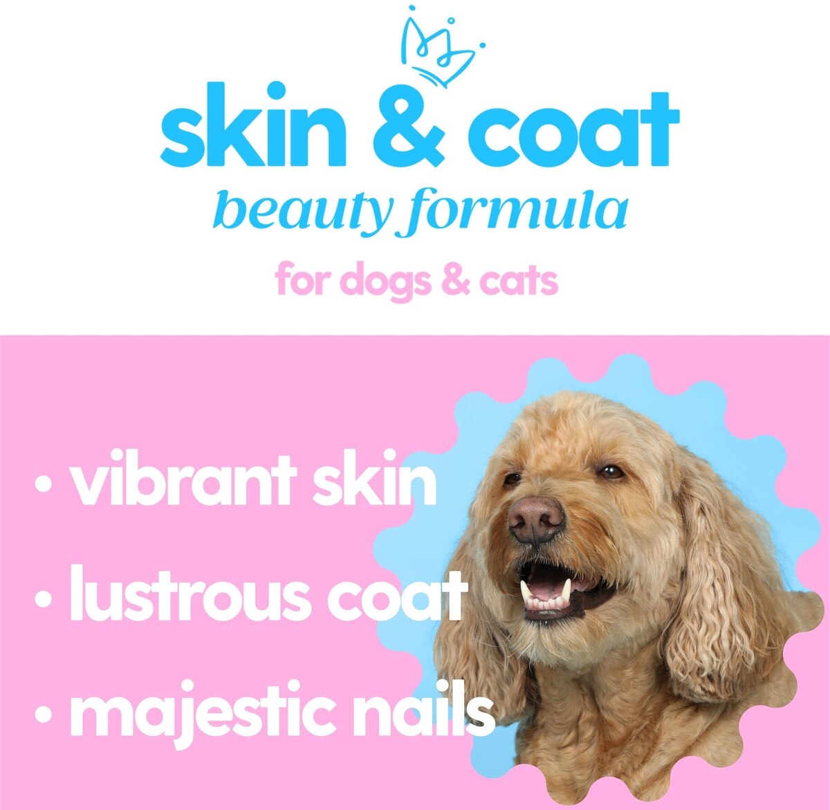 TAILY Collagen Bacon Flavored Liquid Skin & Coat Supplement for Dogs ...