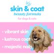 TAILY Collagen Bacon Flavored Liquid Skin & Coat Supplement for Dogs ...