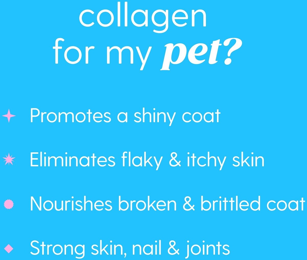 TAILY Collagen Bacon Flavored Liquid Skin & Coat Supplement for Dogs ...