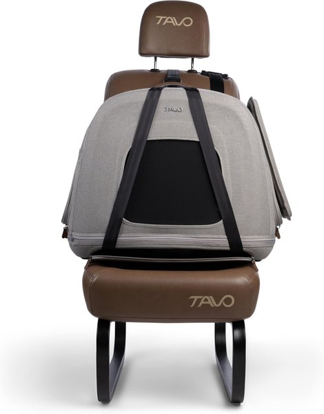 TAVO PETS Crispin Protection System Dog & Cat Kennel, Onyx, Small - Chewy.com