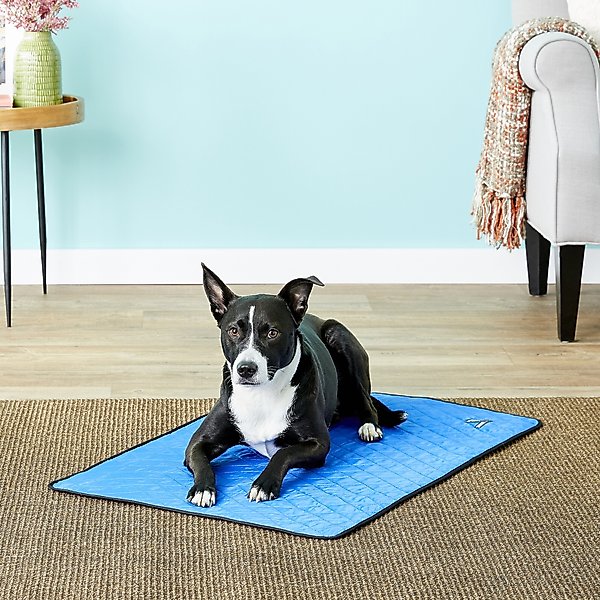 K&H PET PRODUCTS Cool Bed III Dog Pad, Blue, Large - Chewy.com
