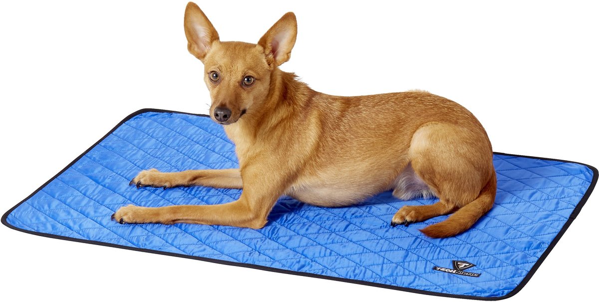 TECHNICHE INTERNATIONAL Evaporative Cooling Dog Pad, Royal Blue, Medium ...