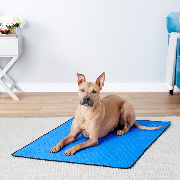TECHNICHE INTERNATIONAL Evaporative Cooling Dog Pad, Royal Blue, XX ...