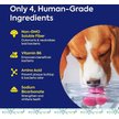 TEEF! Protektin42 Powder Water Additive Dental Kit for Dogs, 30 count ...