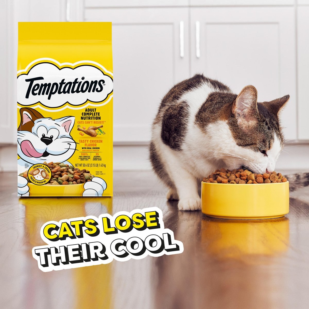 TEMPTATIONS Adult Tasty Chicken Flavor Dry Cat Food, 3.15-lb bag - Chewy.com