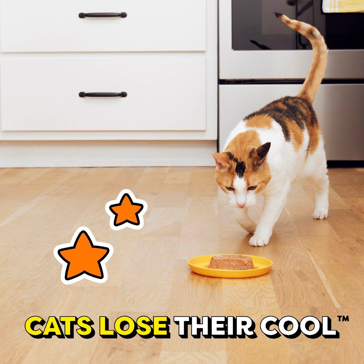 TEMPTATIONS Backyard Cookout Flavor Bites in Gravy Adult Wet Cat Food ...