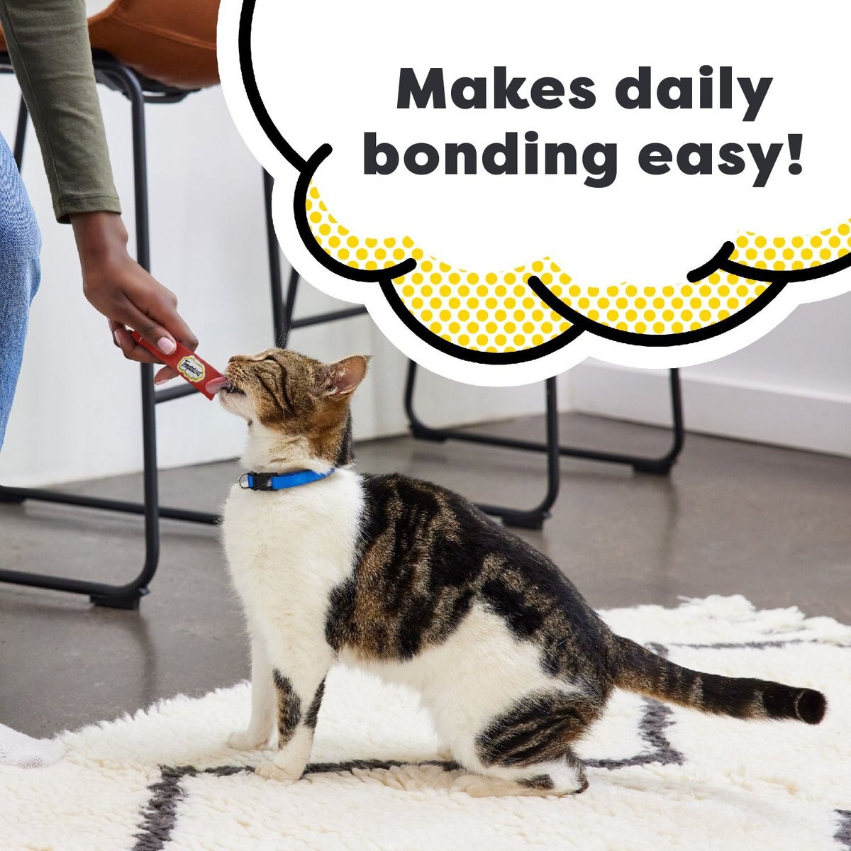 TEMPTATIONS Creamy Puree with Beef Liver Lickable, Squeezable Cat Treat ...