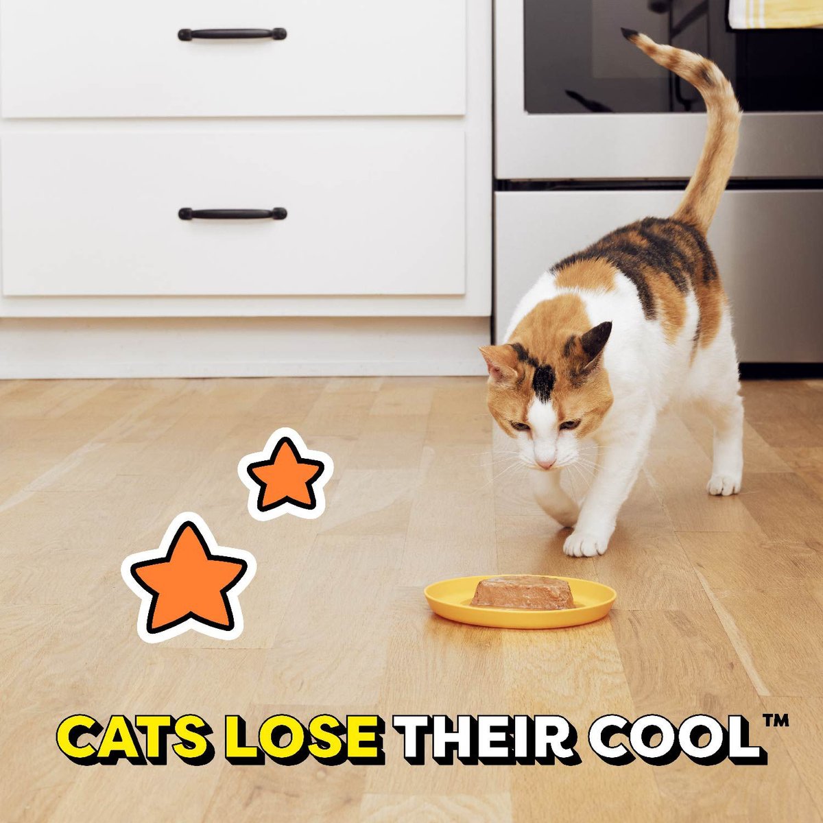 TEMPTATIONS Pate in Gravy Flavor Variety Wet Cat Food, 3.5-oz tray ...