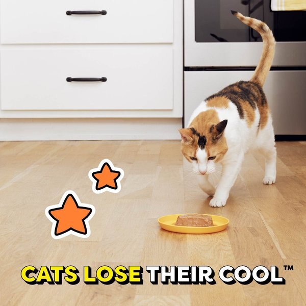 TEMPTATIONS Pate in Gravy Flavor Variety Wet Cat Food, 3.5-oz tray ...