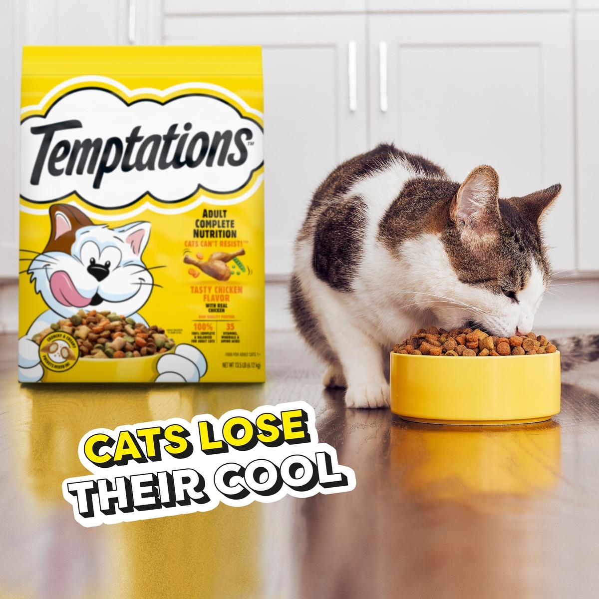 TEMPTATIONS Tasty Chicken Flavor Adult Dry Cat Food, 27-lb bundle ...