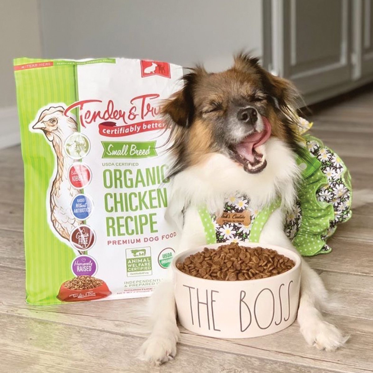 TENDER & TRUE Organic Chicken Recipe Small Breed Grain-Free Dry Dog ...