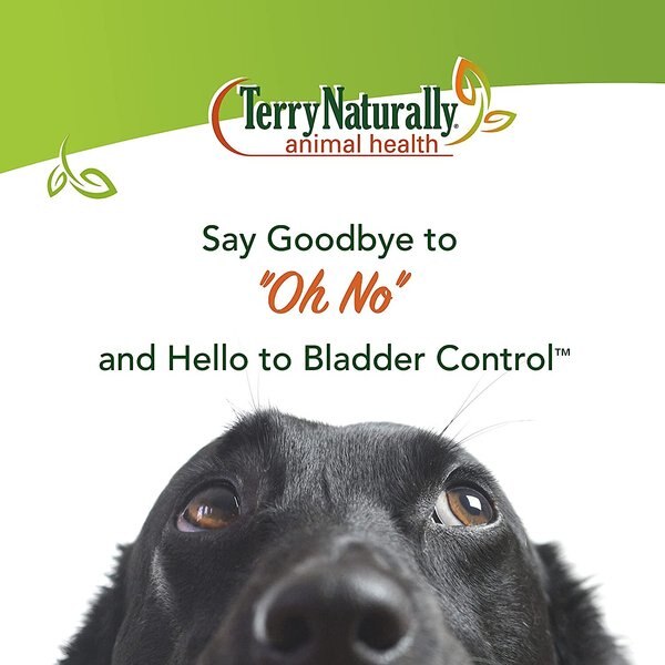 TERRY NATURALLY ANIMAL HEALTH Bladder Control Dog Supplement, 30 count ...