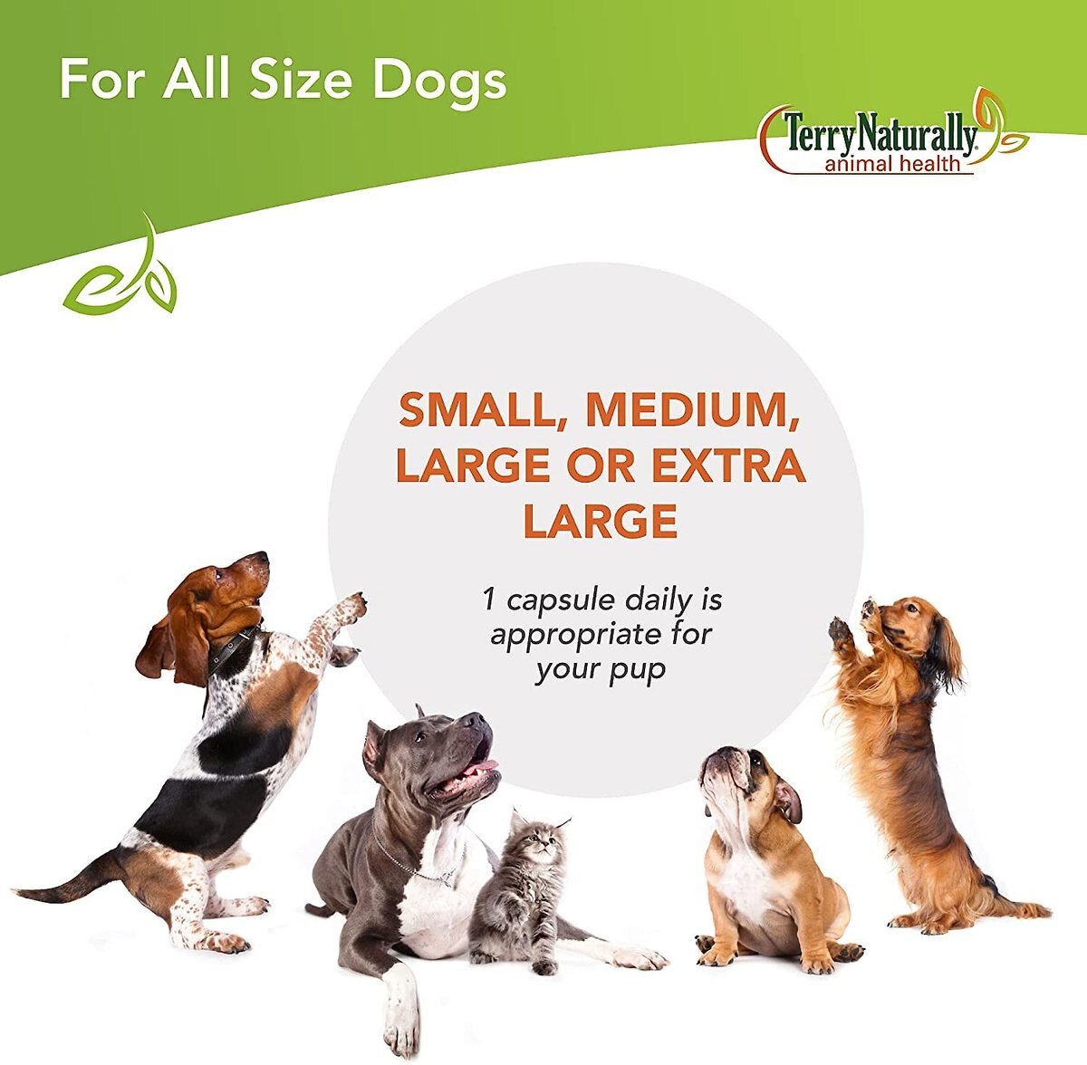 TERRY NATURALLY ANIMAL HEALTH Bladder Control Dog Supplement, 30 count ...