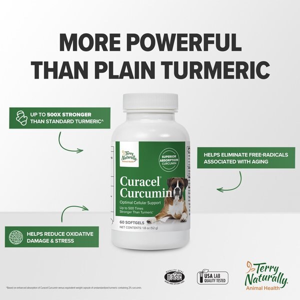 TERRY NATURALLY ANIMAL HEALTH Curacel Curcumin Optimal Cellular Support ...