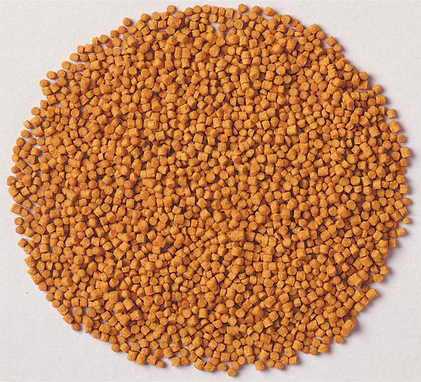 TETRA Betta Floating Mini Pellets Color Enhancing Fish Food, 1.02-oz ...