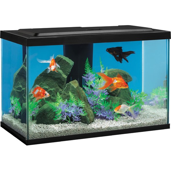 TETRA Complete Tropical Fish Aquarium Kit with LED Lighting, 20-gal ...
