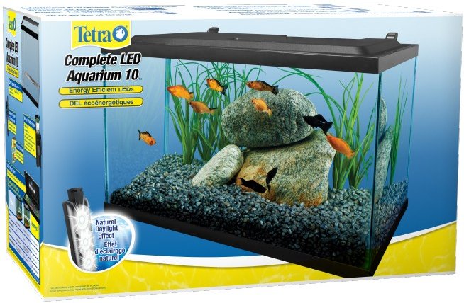 5 Gallon Fish Tank (Free Shipping) | Chewy