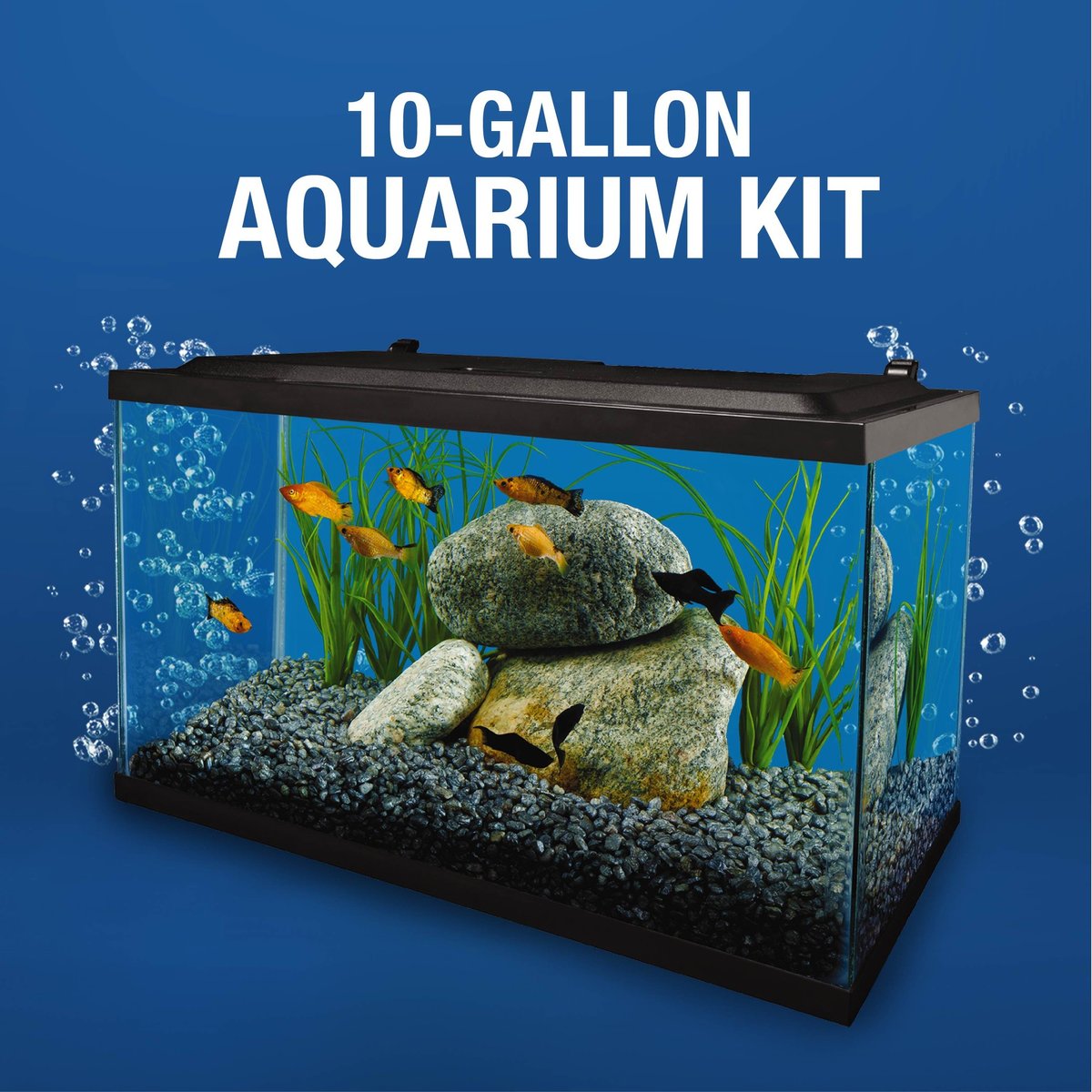 TETRA Complete Tropical Fish Aquarium Kit with LED Lighting, 10-gal ...