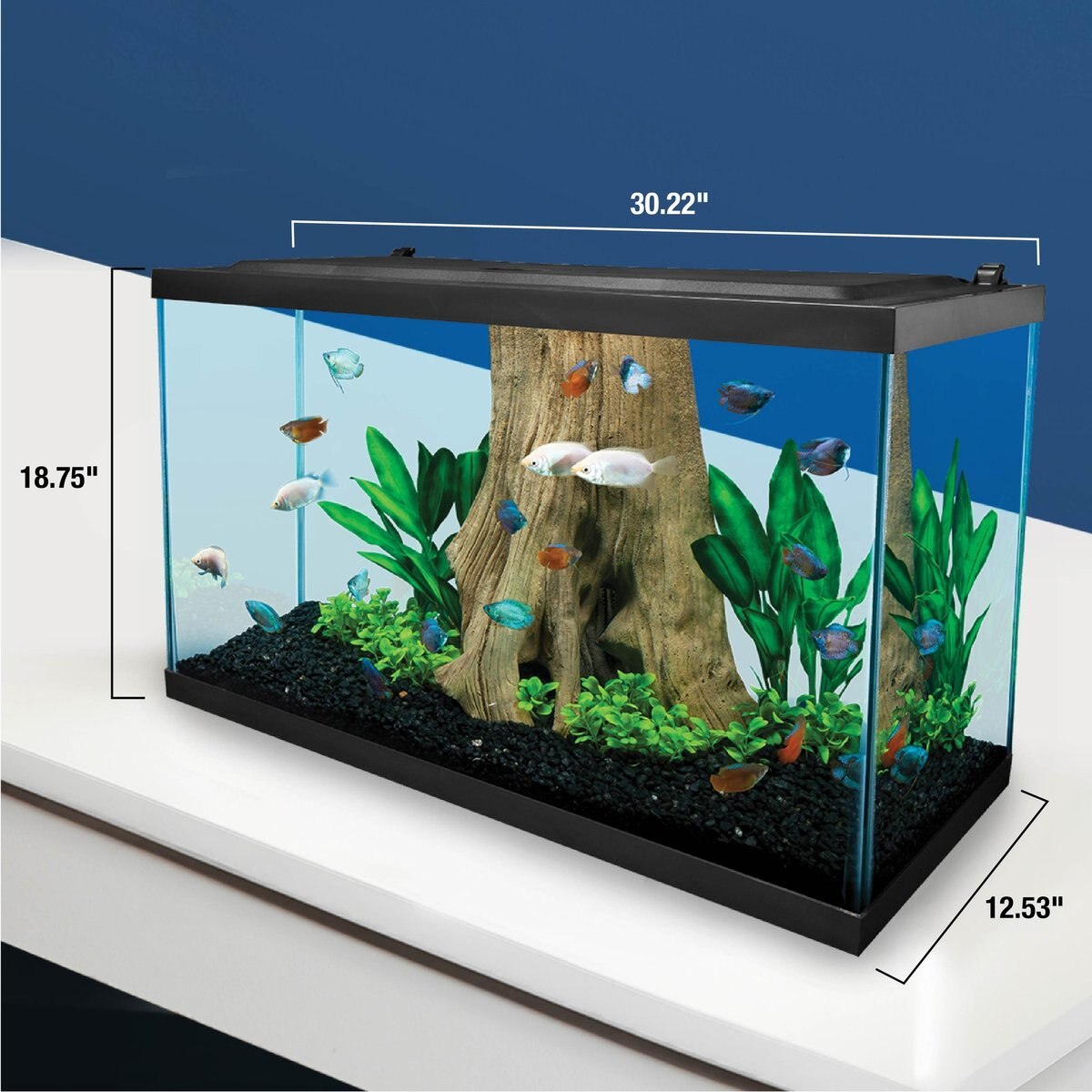 TETRA Complete Tropical Fish Aquarium Kit with LED Lighting, 29-gal ...
