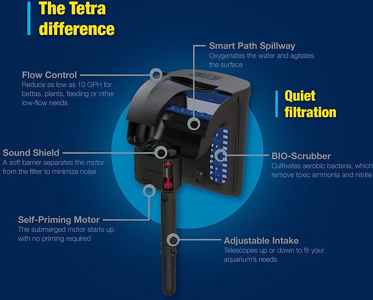 TETRA Connect Curved Aquarium Kit with WiFi Feeder, 28-gal - Chewy.com